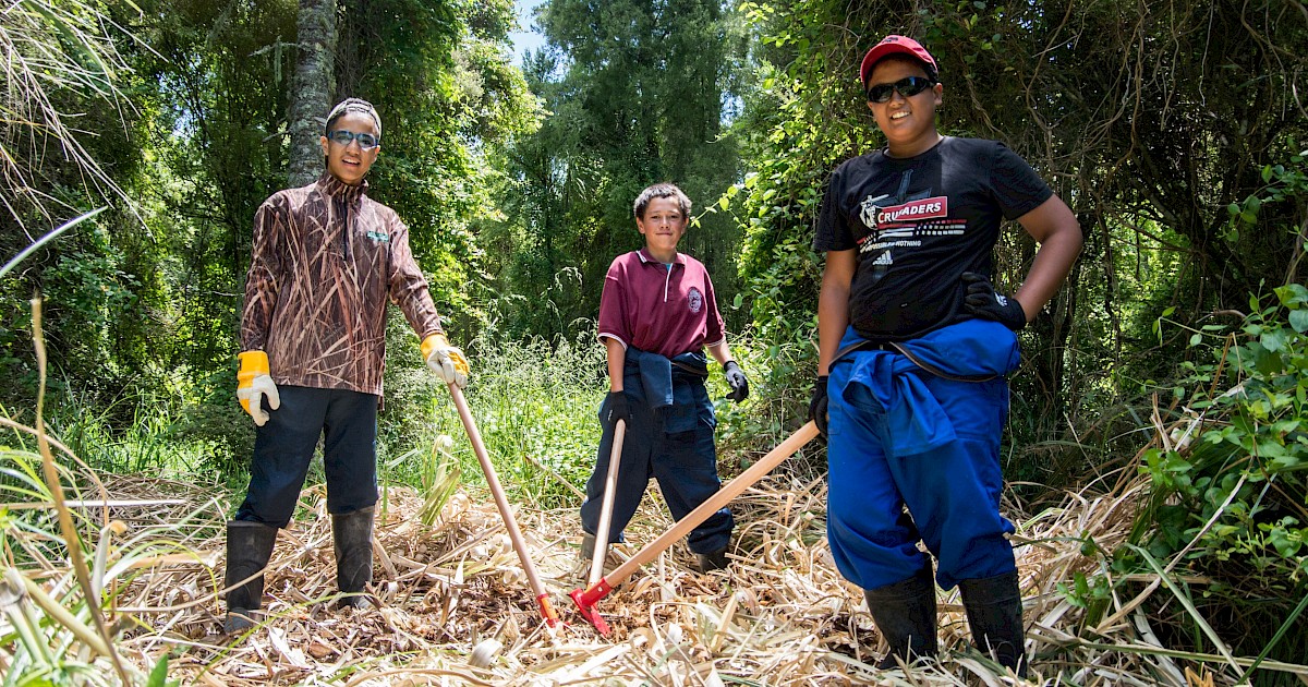 Weedbusters • Working together to protect Aotearoa New Zealand
